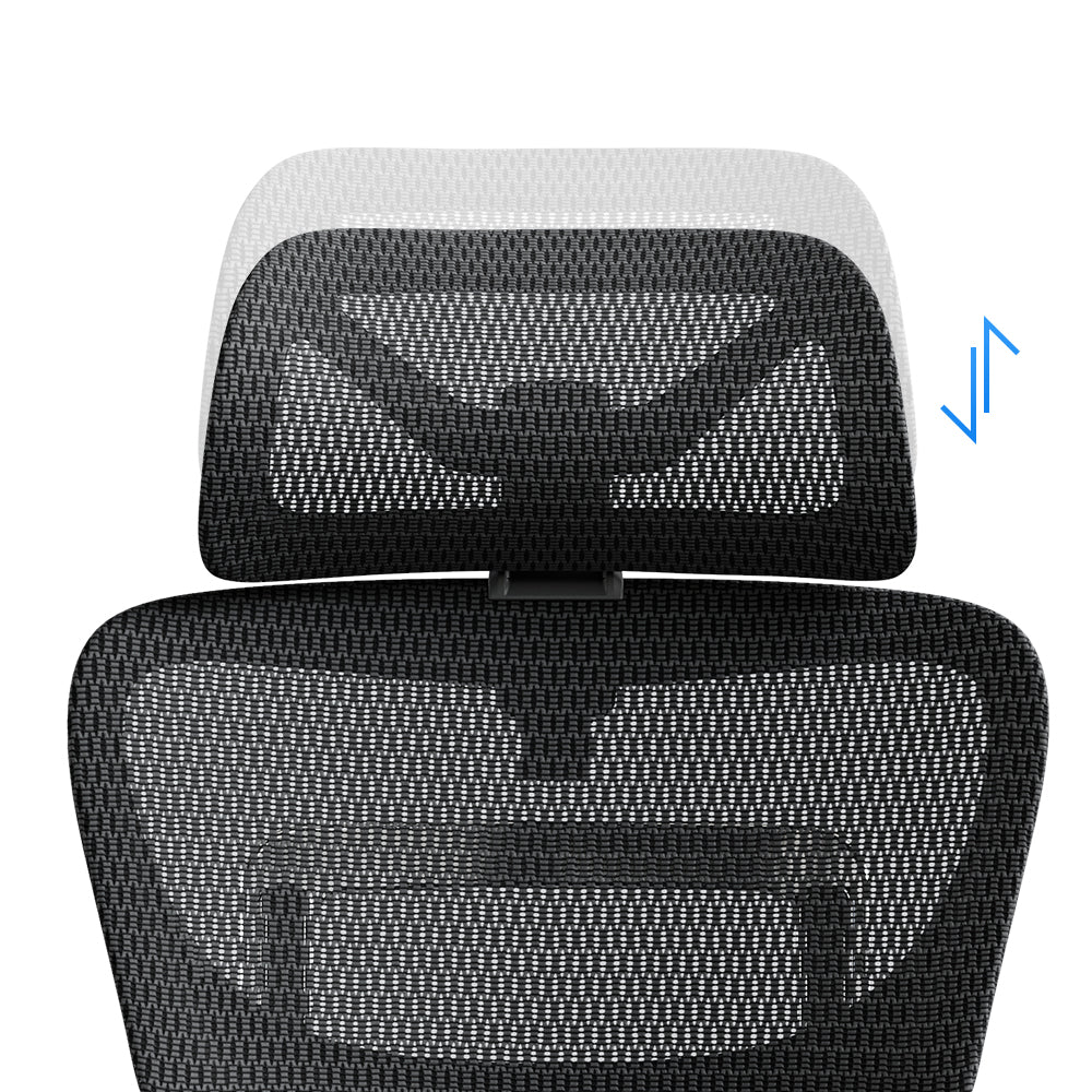 OdinLake O1 (Ergo PLUS 743) | Flex Mesh Ergonomic Chair